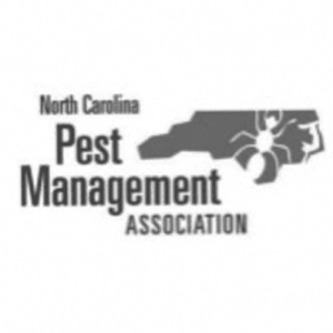 Rocket Pest Control Reviews - Rocket Pest Control - Out Of This World ...