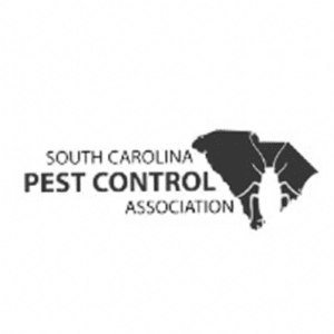 About Rocket Pest Control - Rocket Pest Control - Out Of This World ...