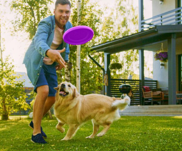 Fly Exterminators - Rocket Pest Control - Out Of This World Pest ...