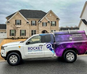 Rodent Exterminator & Exclusion - Rocket Pest Control - Out Of This ...