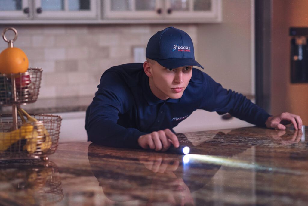 Fly Management and Control